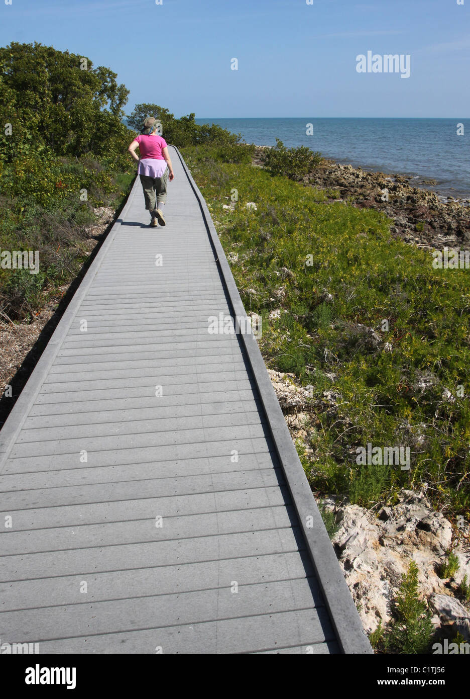 Elliott Key boardwalk Biscayne National Park Florida Stock Photo - Alamy