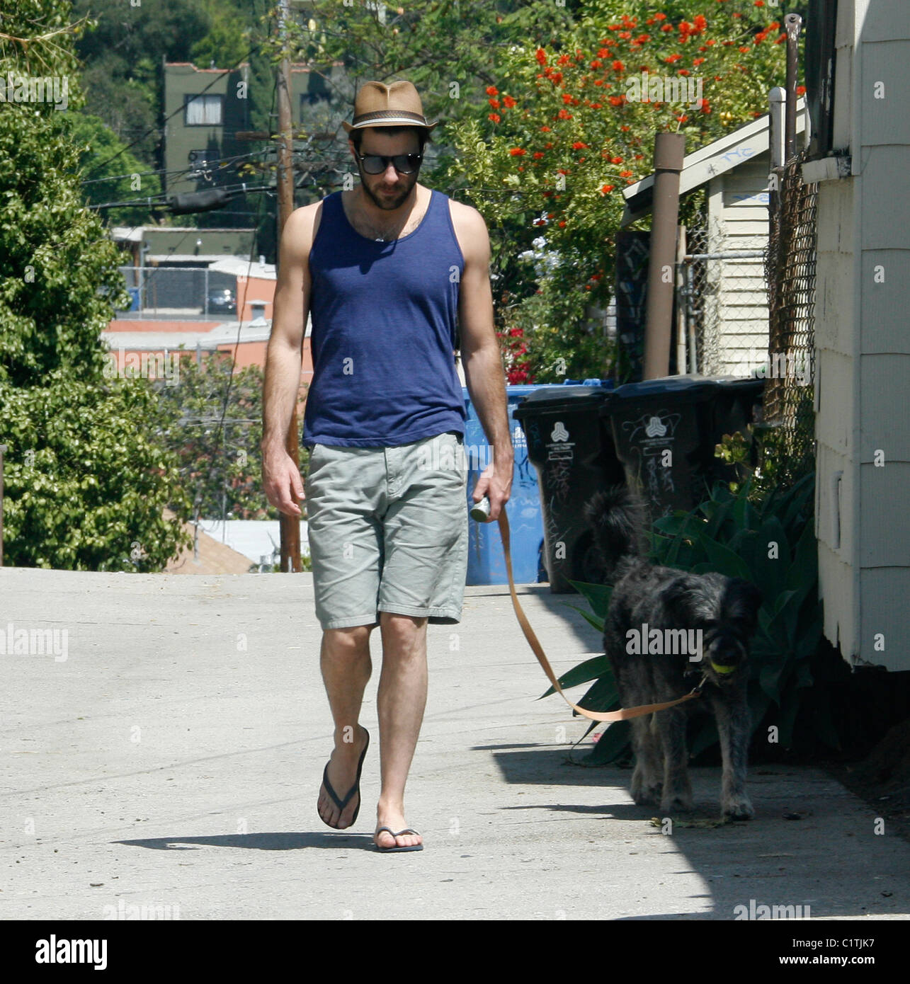 Zachary Quinto takes his Irish Wolfhound/Airedale Terrier dog Noah for ...