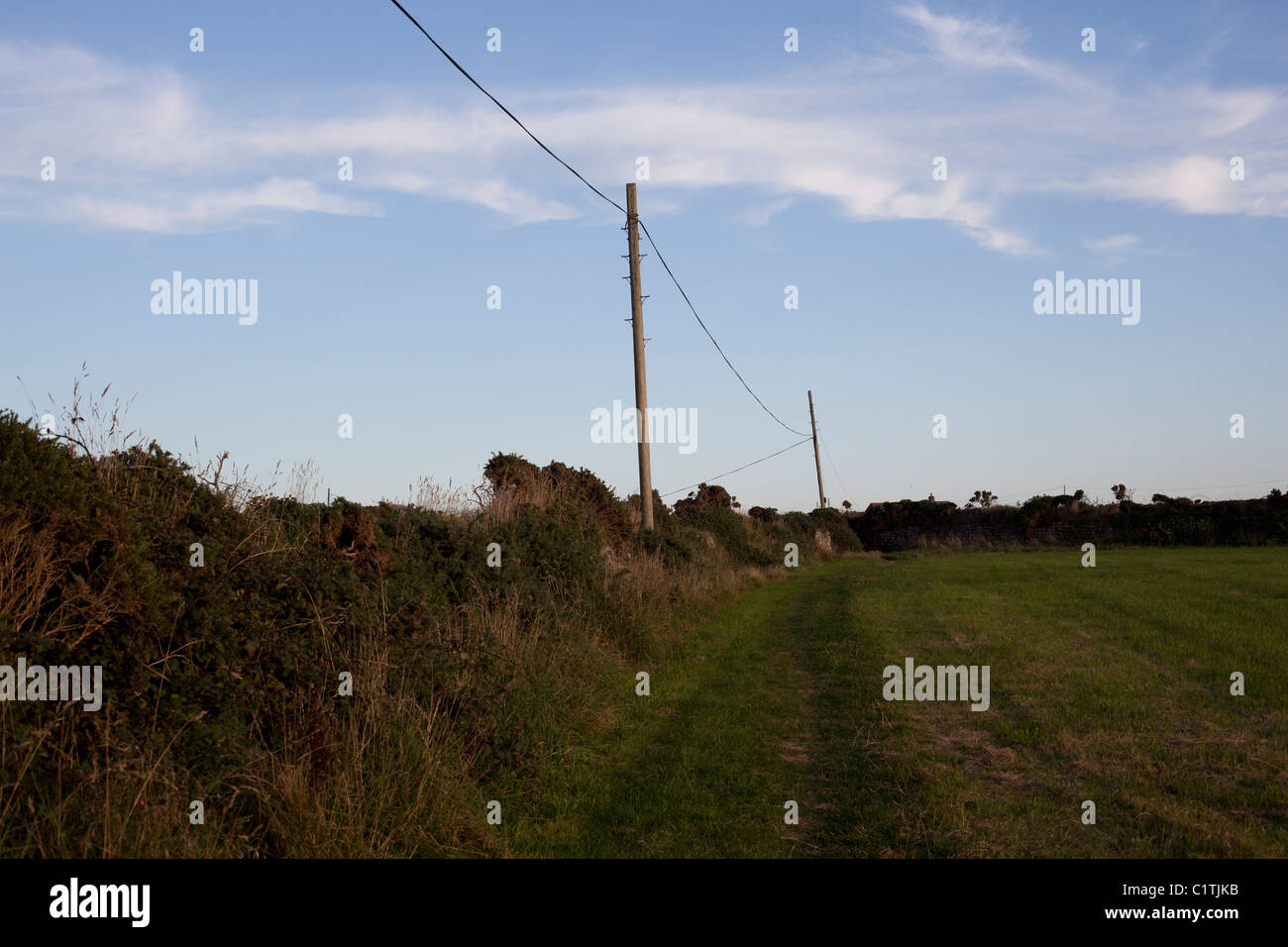 Footpath through field in Cornish countryside Stock Photo - Alamy