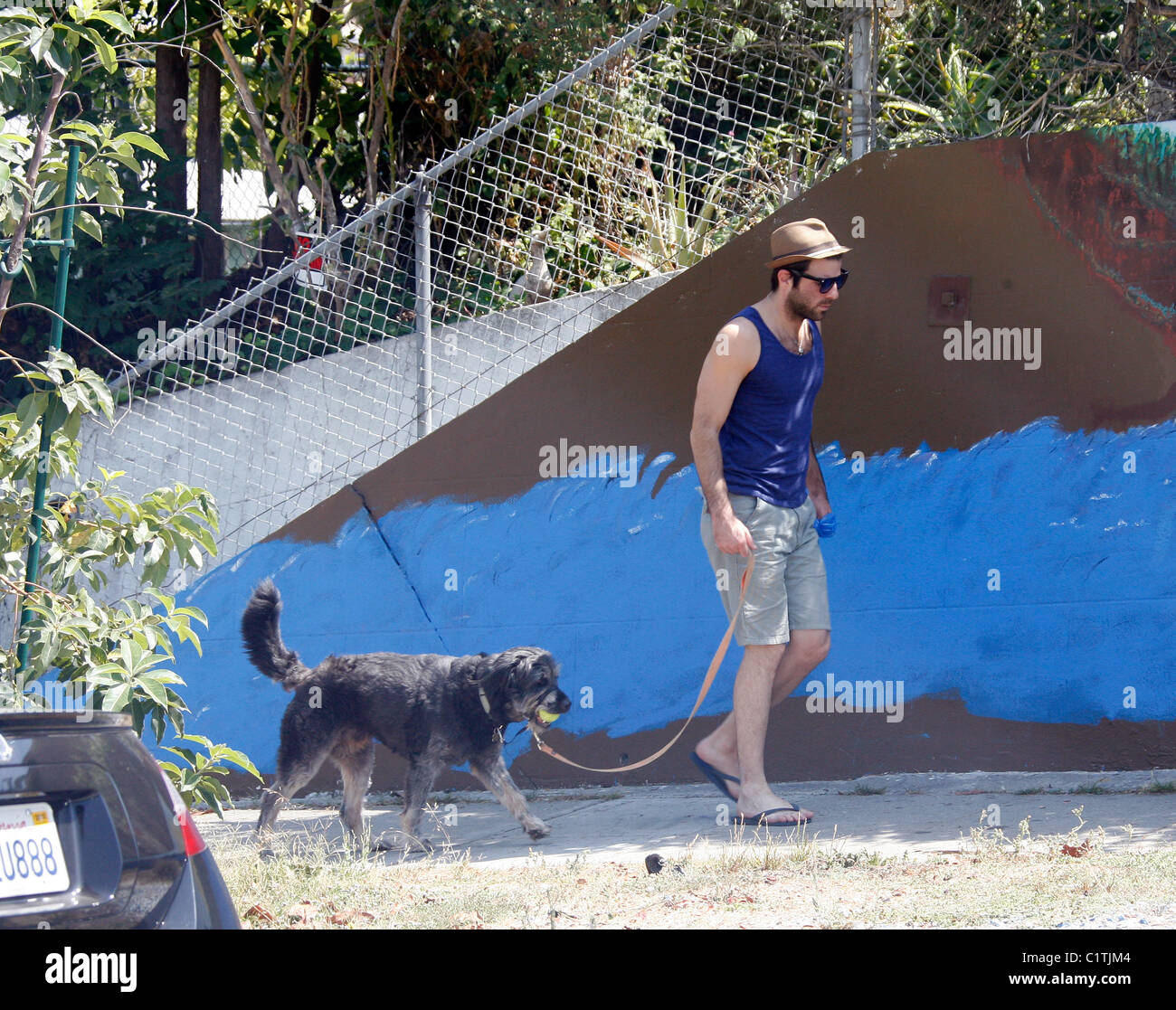 Zachary Quinto takes his Irish Wolfhound/Airedale Terrier dog Noah for ...
