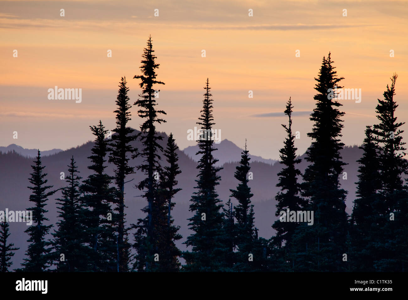 USA, Washington State, Olympic National Park, Deer Park area, Alpine ...