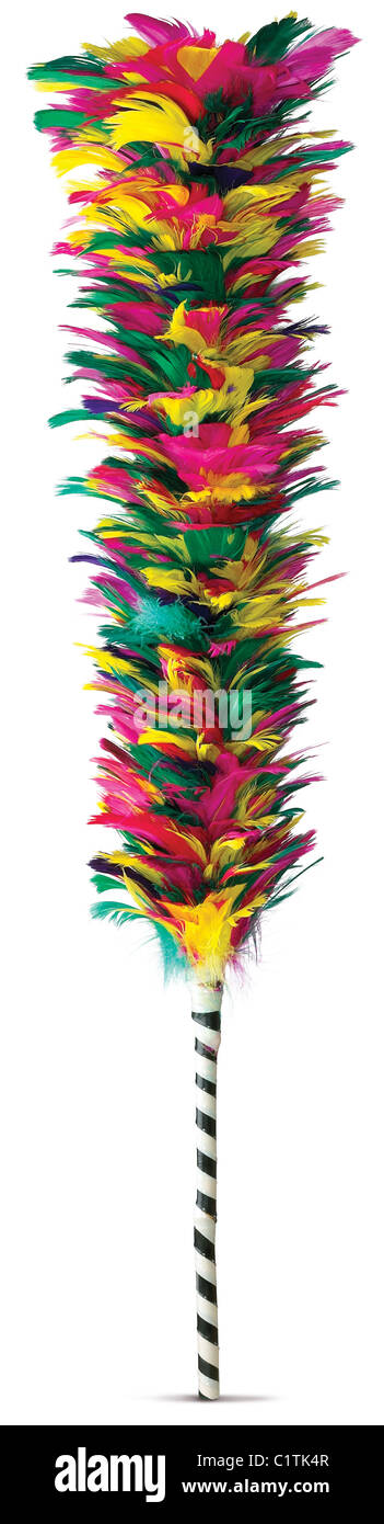 a colorful feather duster on a white background Stock Photo - Alamy
