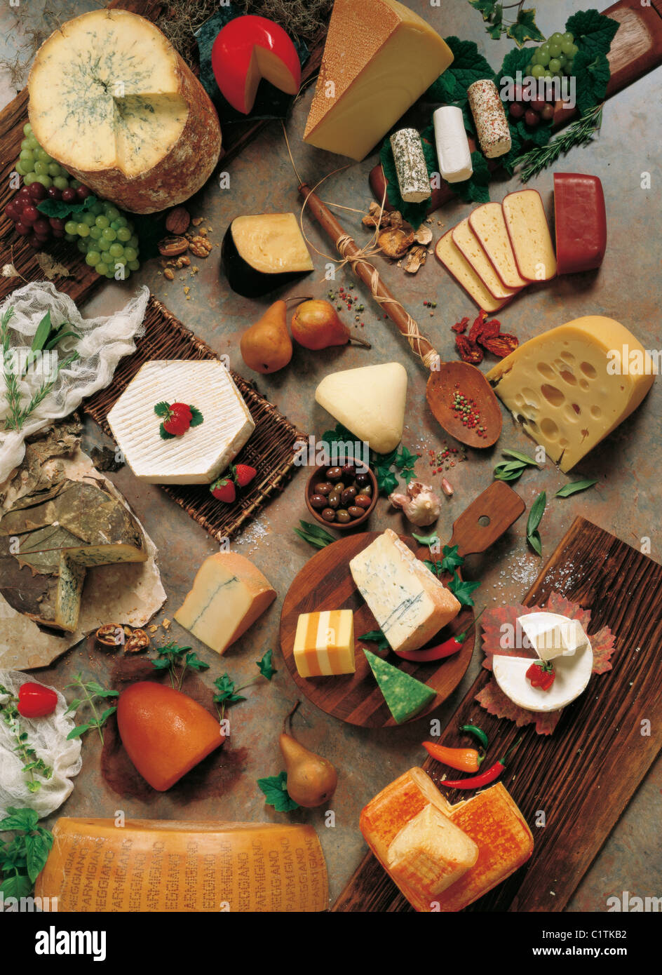 Chesses of the World. Sampling of chesses from major cheese producing ...