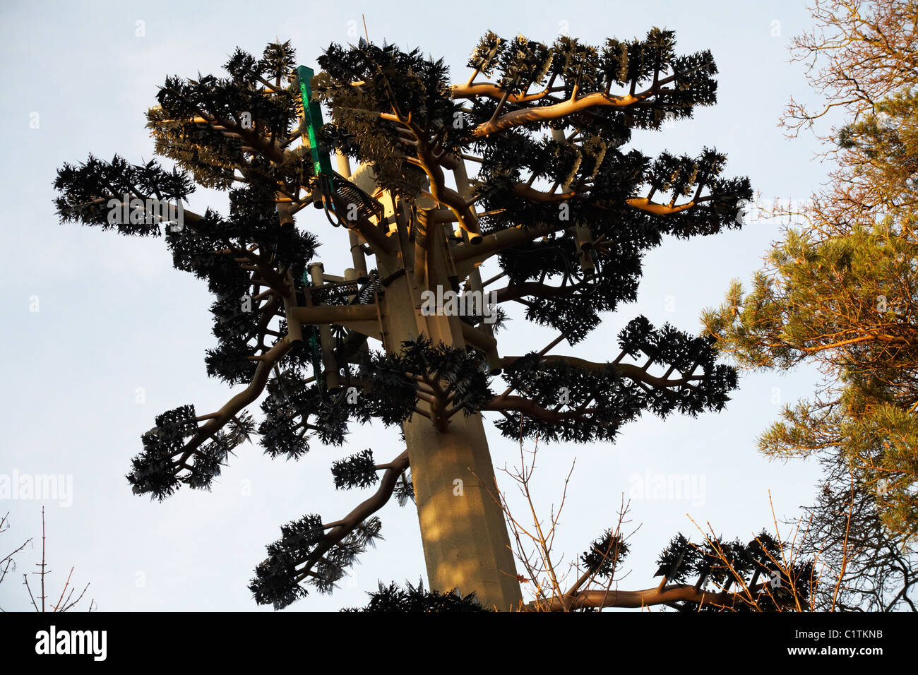Telephone mast hi-res stock photography and images - Alamy