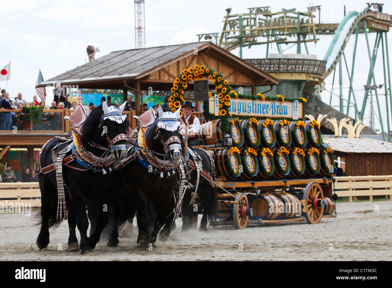 Beer Wagon Oktoberfest Munich Bavaria Stock Photos & Beer Wagon ...