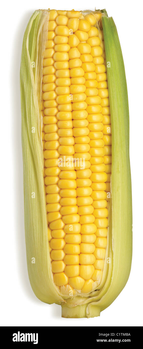 an ear of sweetcorn with leaves isolated on a white background from ...