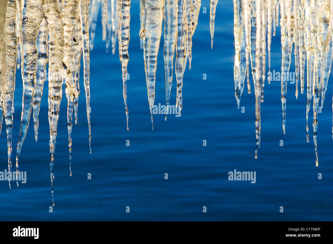 Close-up of icicles Stock Photo - Alamy
