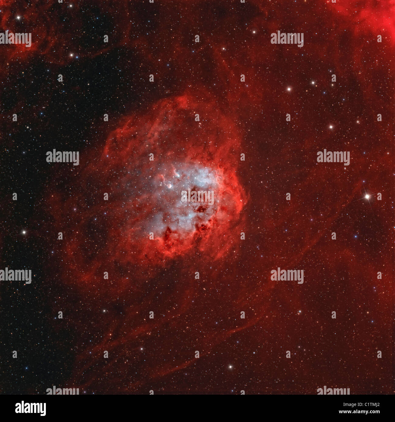 IC 410, The Tadpole Nebula in Auriga Stock Photo - Alamy