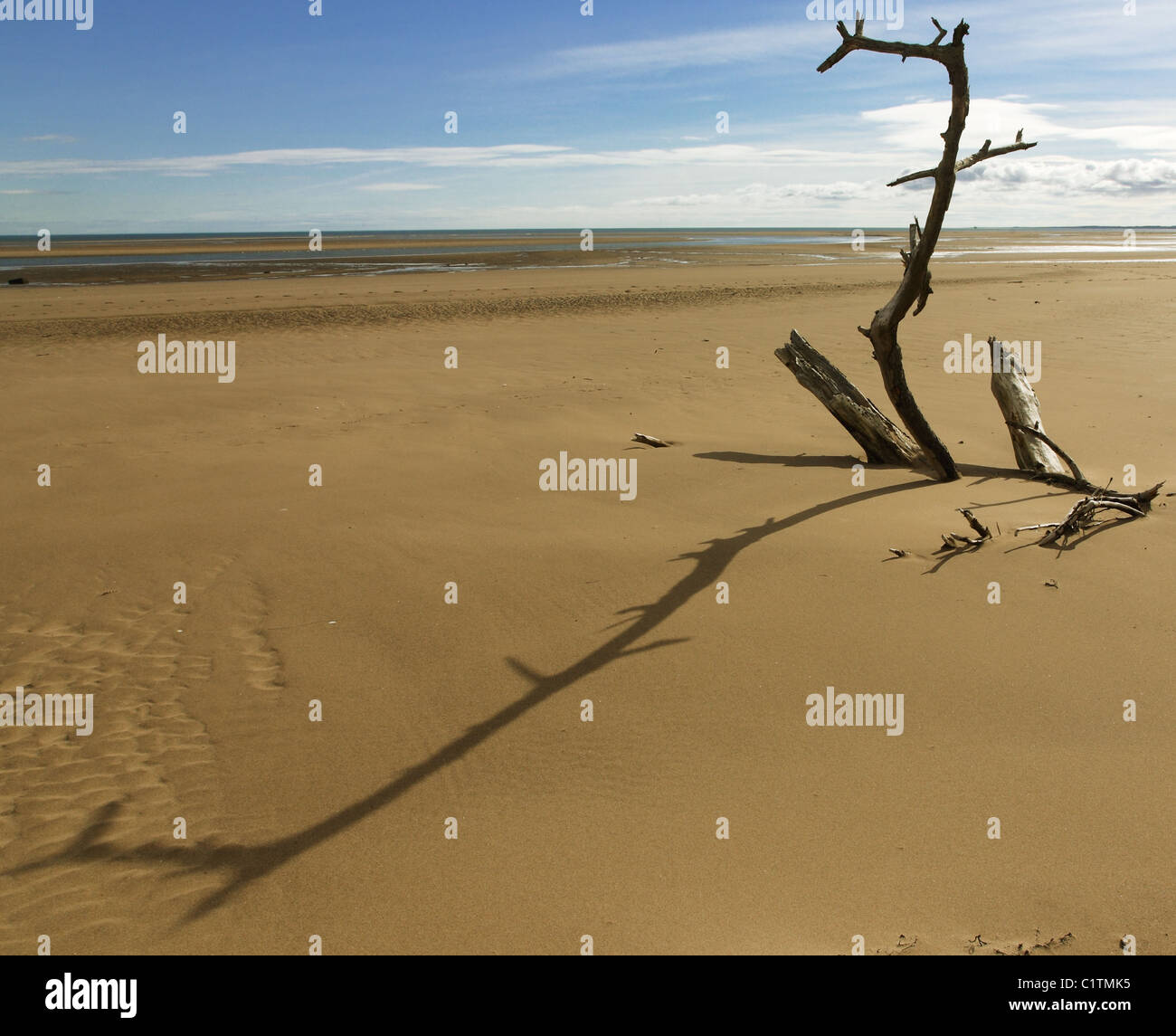 Kinshaldy hi-res stock photography and images - Alamy