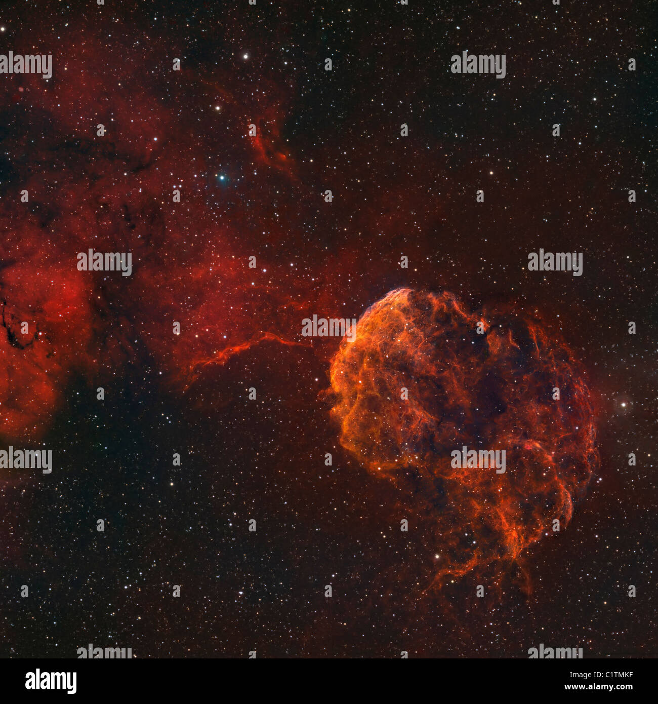 The Jellyfish Nebula, also known as IC 443 and Sharpless 248 Stock ...