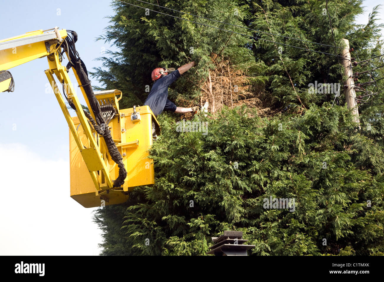 Cherry_picker High Resolution Stock Photography and Images - Alamy