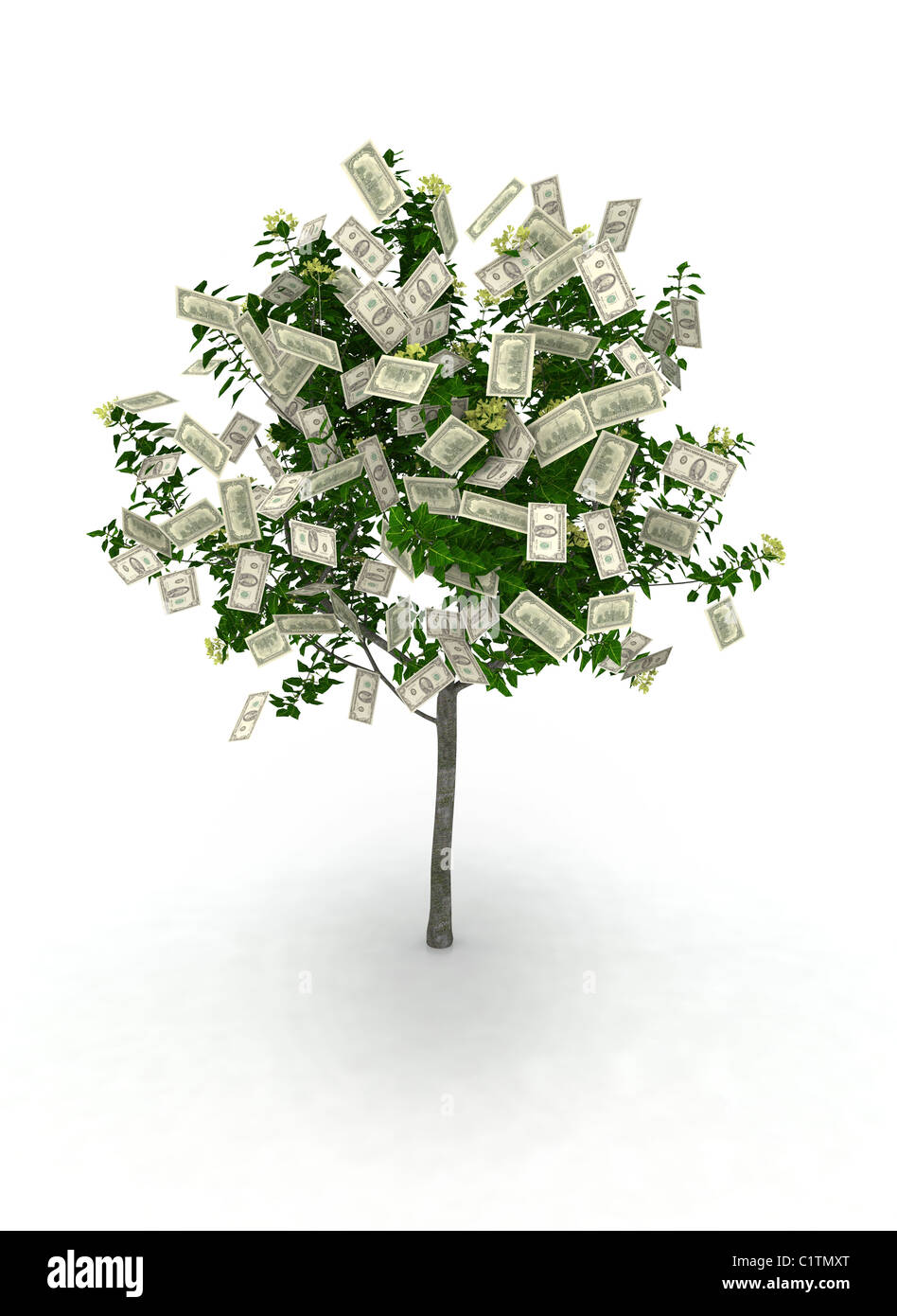 money tree, 100 dollar notes like fruits Stock Photo - Alamy