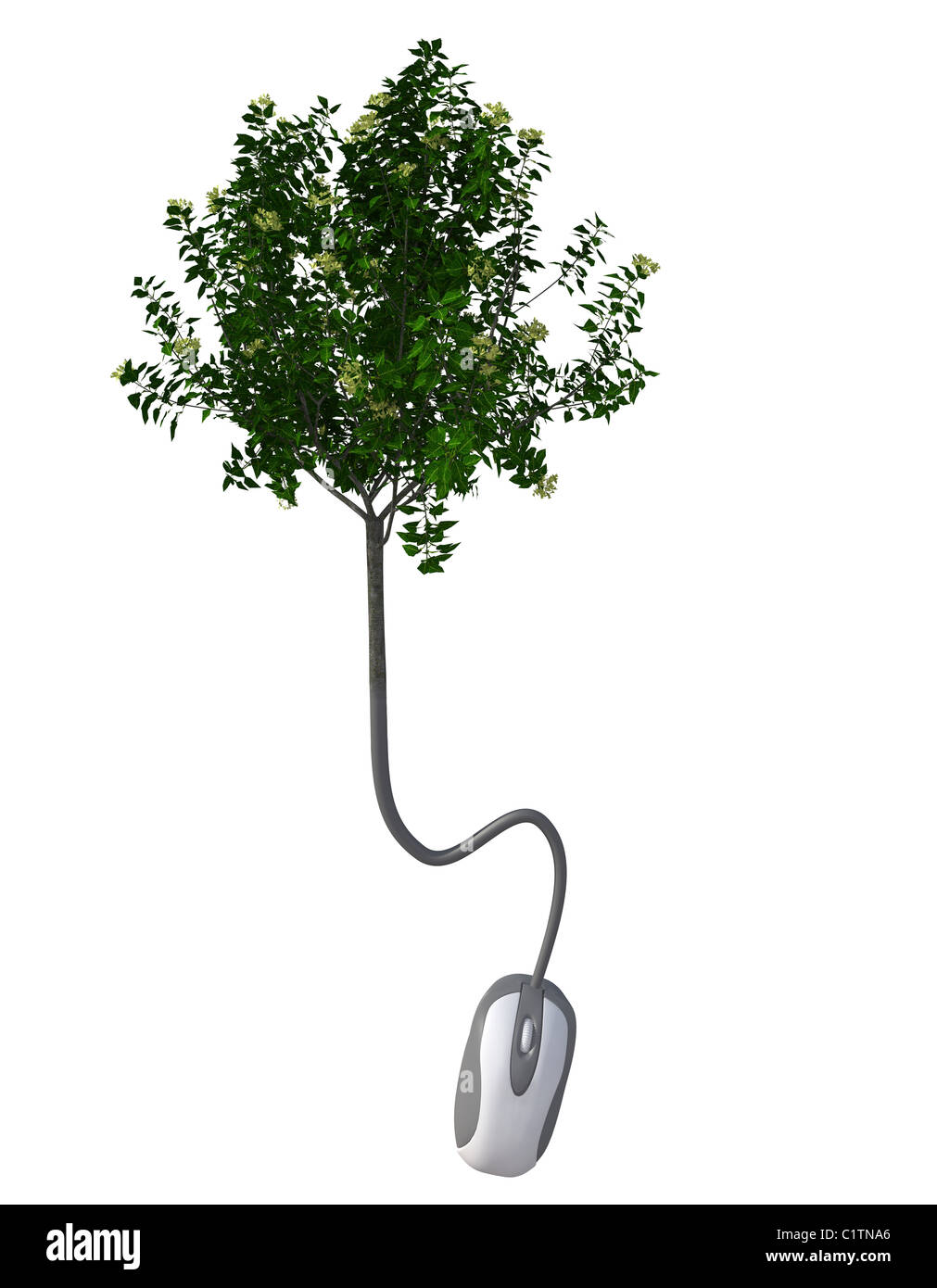 mouse cable that becomes a tree, 3d illustration Stock Photo - Alamy