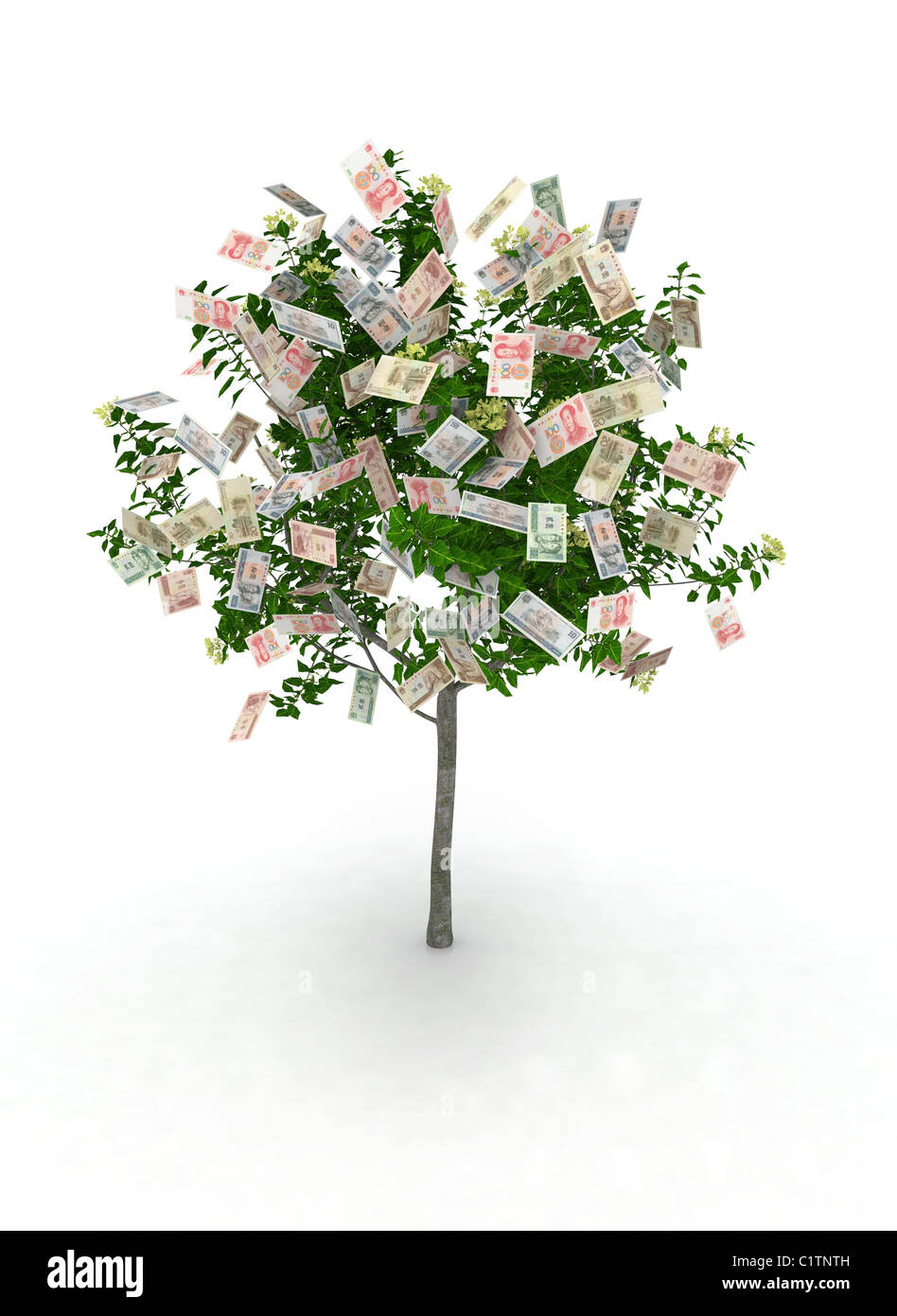 money tree, chinese yuan like fruits Stock Photo - Alamy