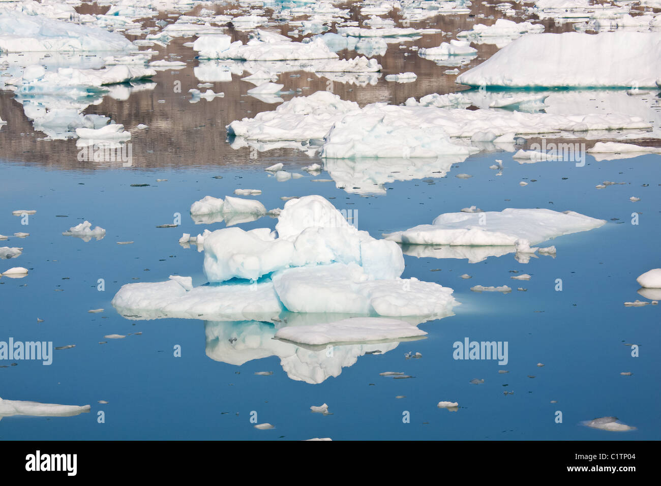 Ice floe floes eisschollen hi-res stock photography and images - Alamy
