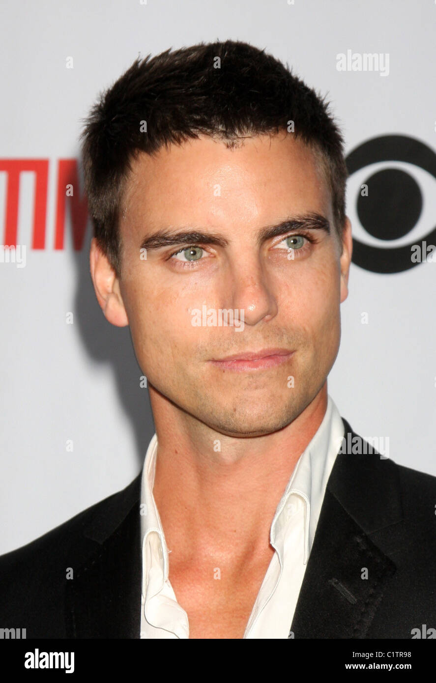 Colin Egglesfield The 2009 TCA Summer Tour for CBS, CW and Showtime ...