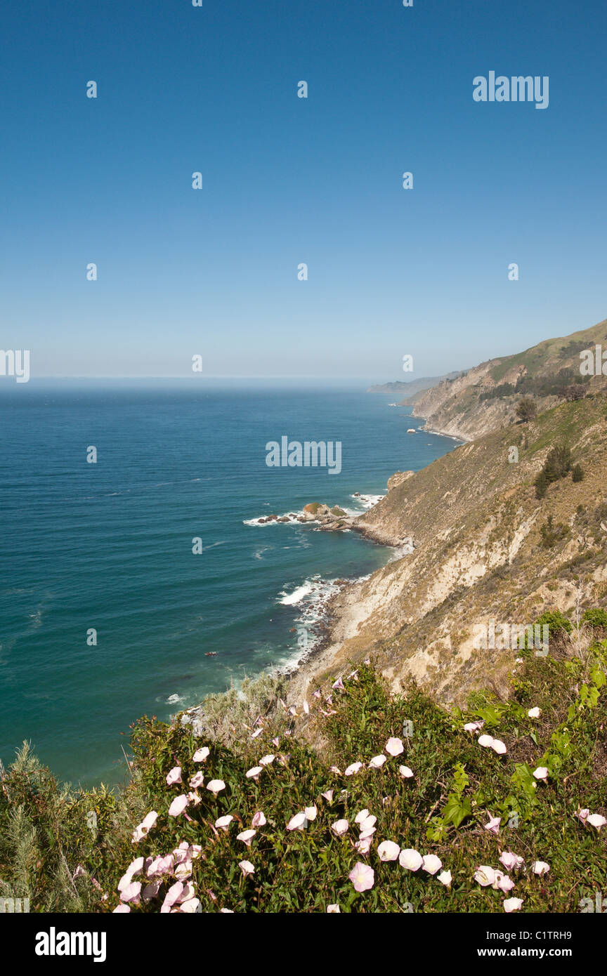 Big Sur, California. Coastline south of Monterey Stock Photo - Alamy