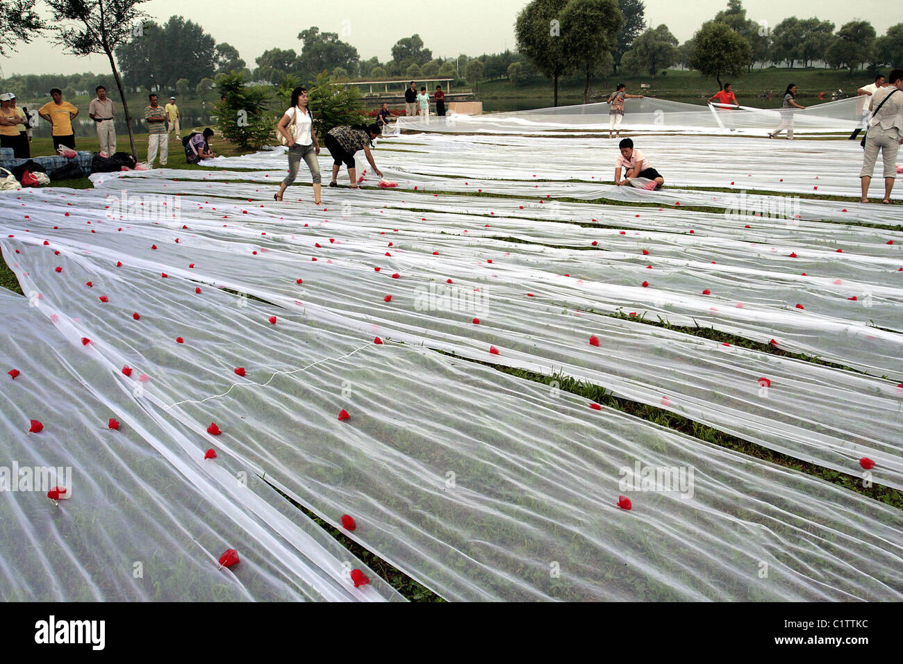 World's biggest wedding dress A bride from Jilin, China, gets married ...