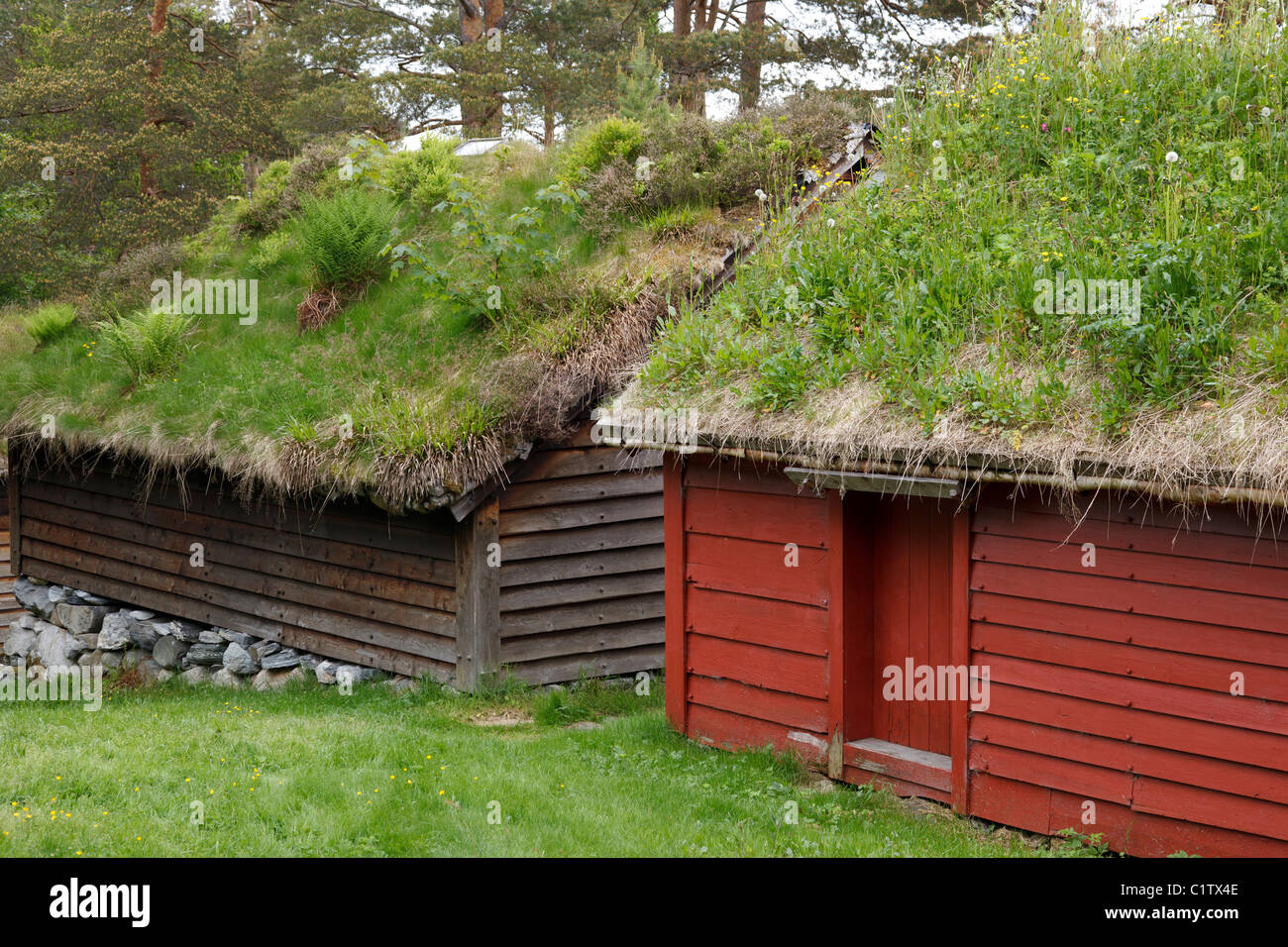 houses with grass roof Stock Photo - Alamy