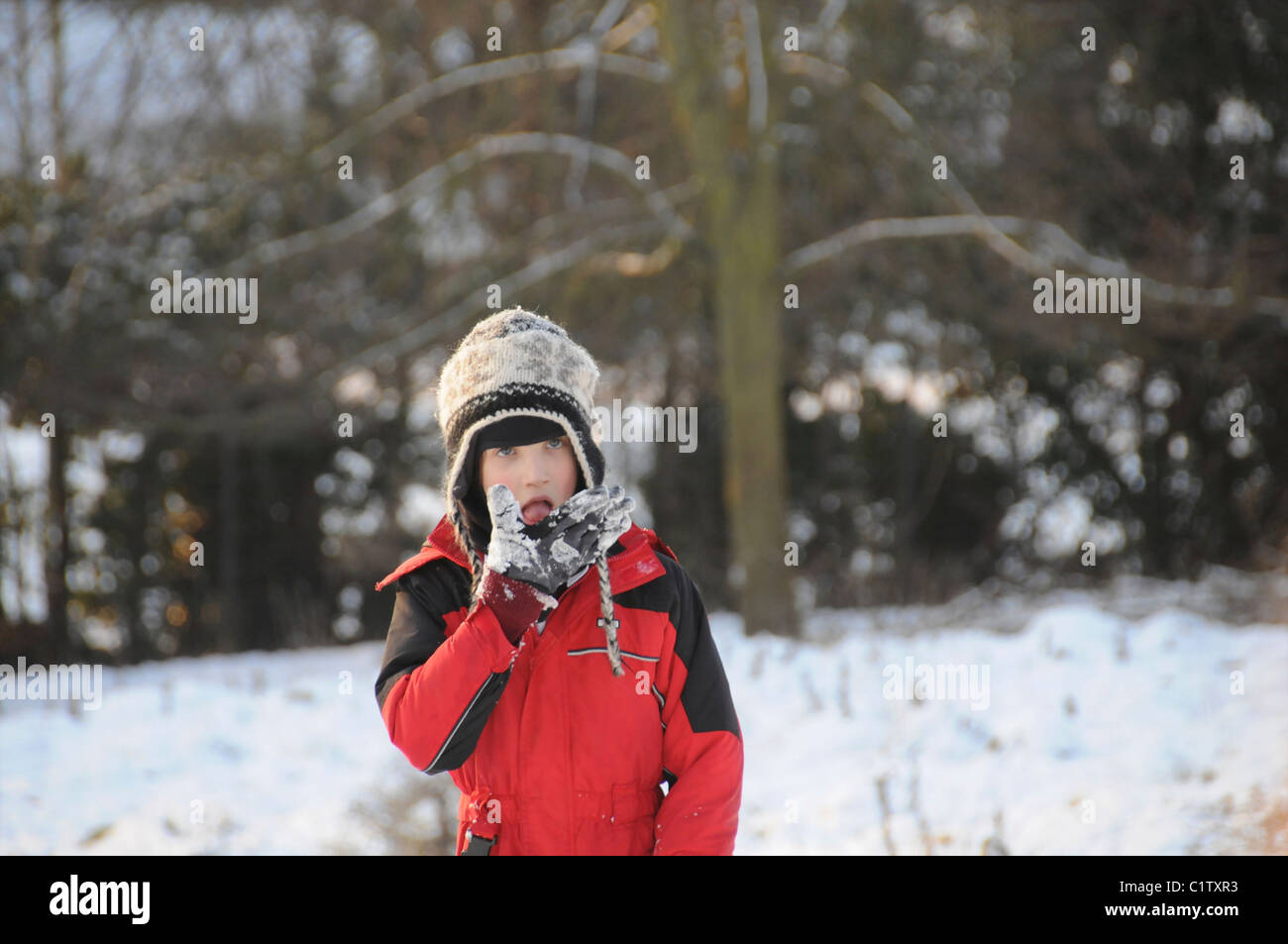Boy eating snow in the park Stock Photo - Alamy