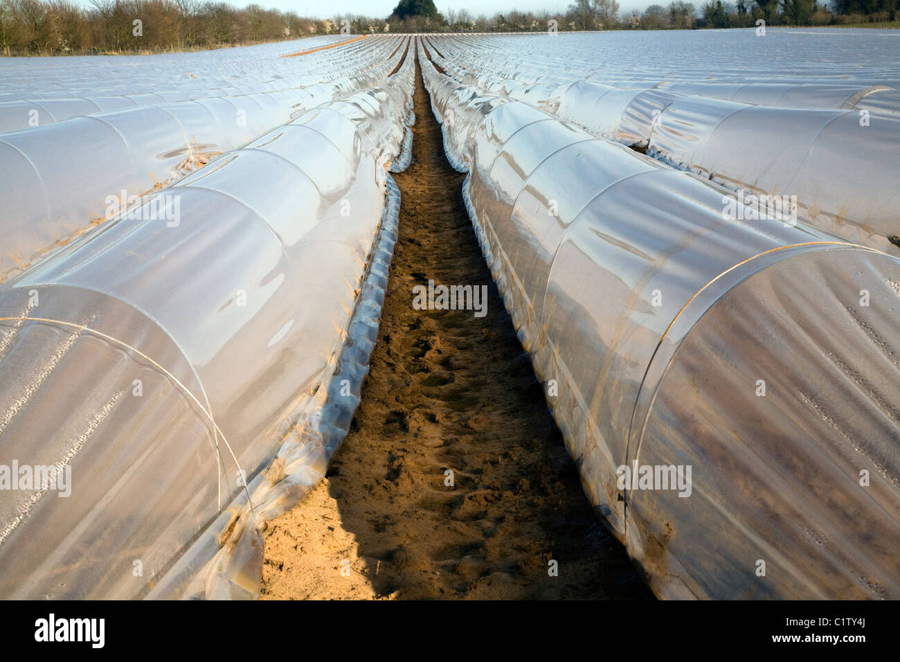 Polythene tubes hi-res stock photography and images - Alamy