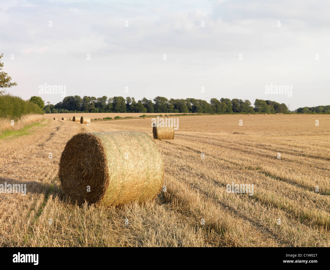 Hay off the field hi-res stock photography and images - Alamy