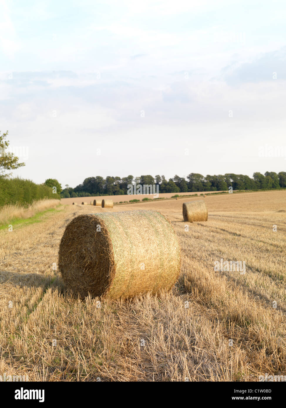 Hay off the field hi-res stock photography and images - Alamy
