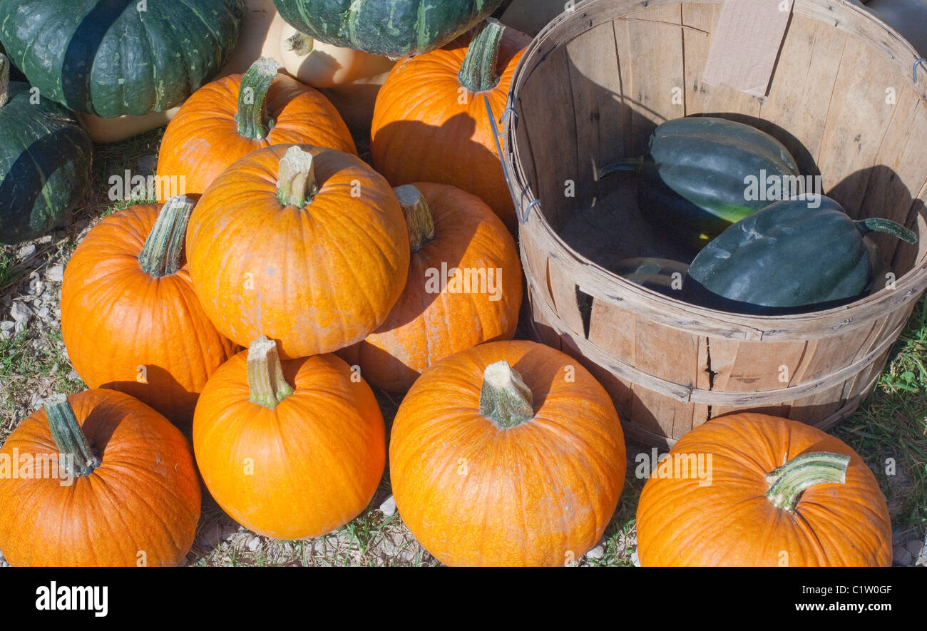 pumpkins on sale Stock Photo - Alamy