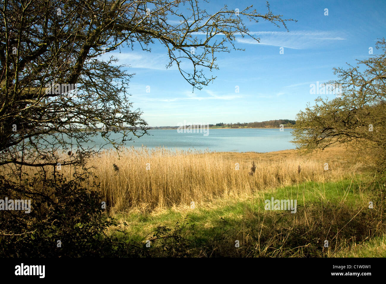 Stonner hi-res stock photography and images - Alamy