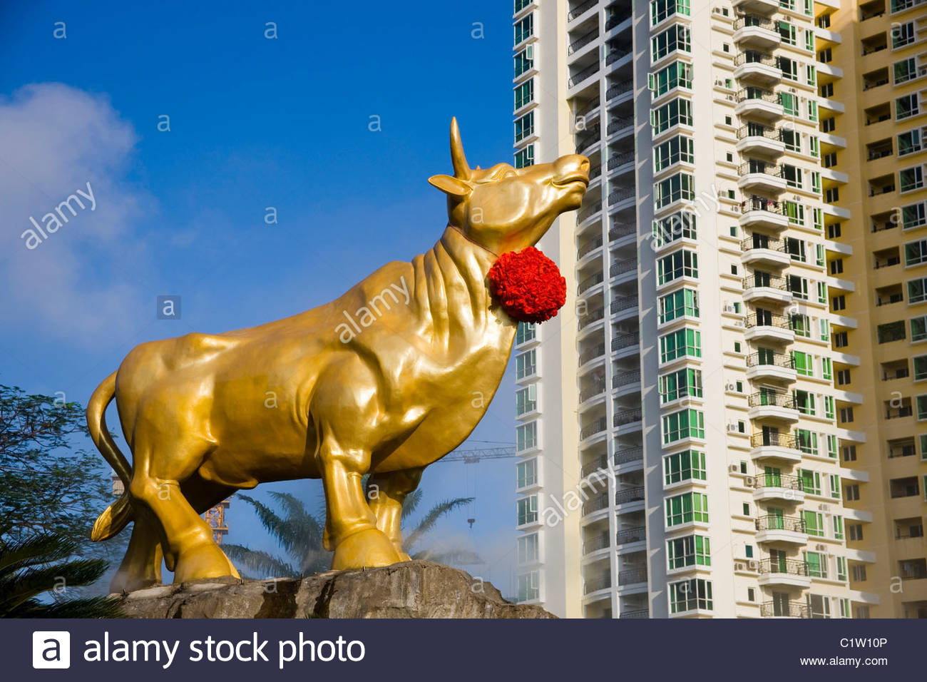 Golden Bull Stock Photos & Golden Bull Stock Images - Alamy