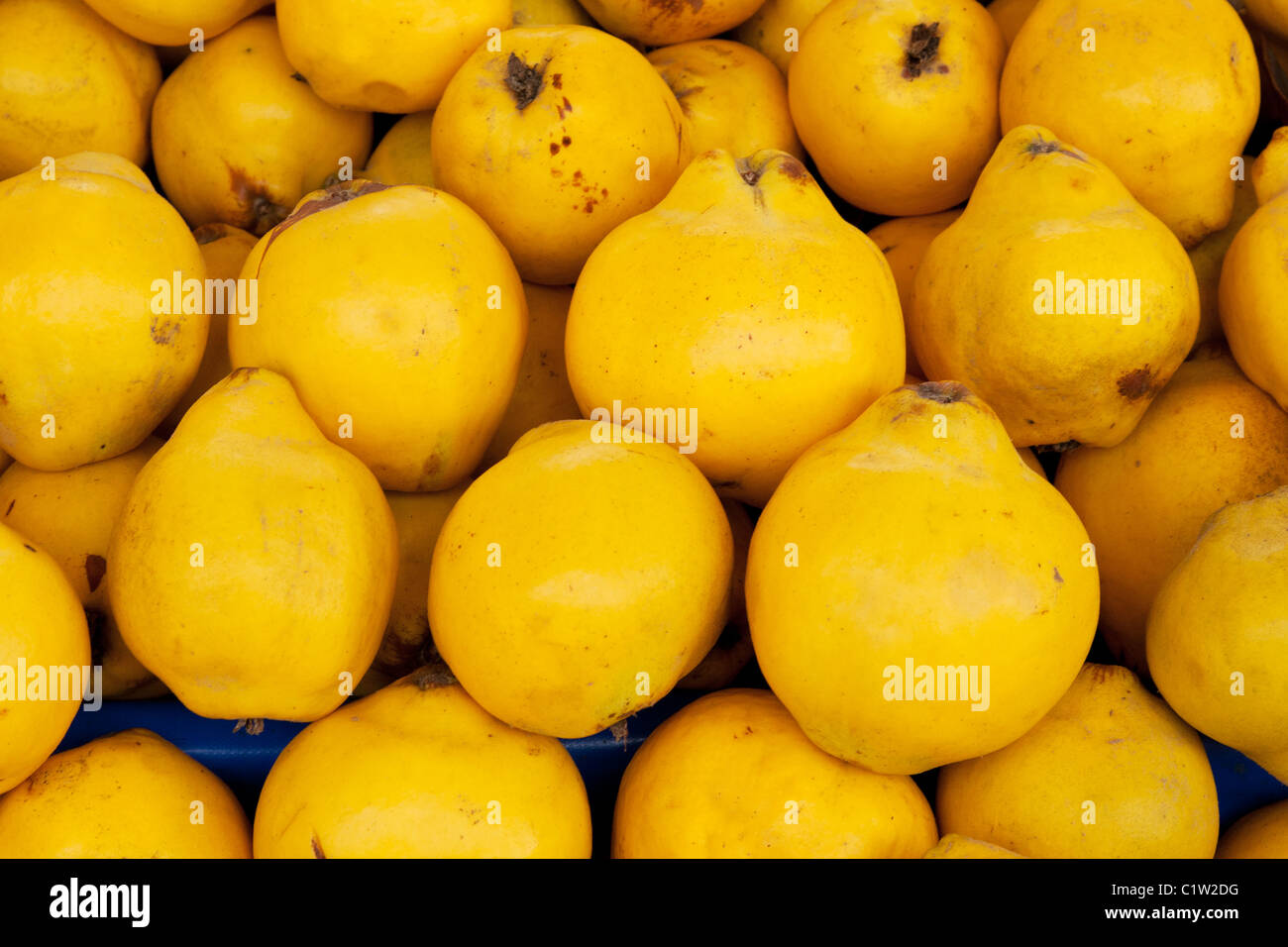 Sweet mellow hi-res stock photography and images - Alamy