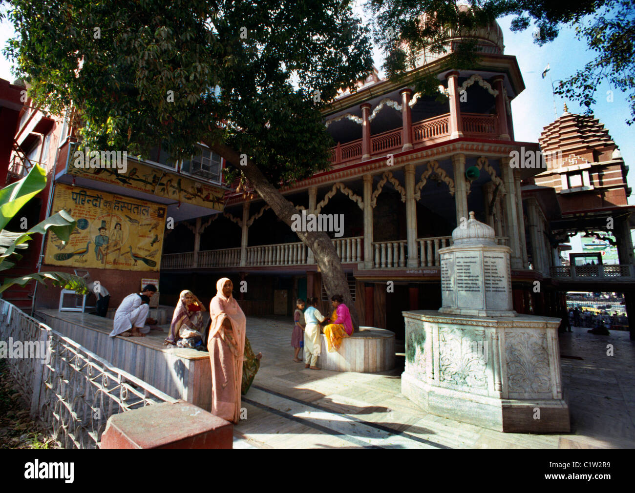 delhi india Jain Bird Hospital Stock Photo - Alamy