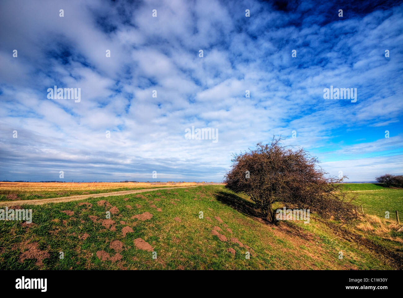 A landscape image of an area near the Alkborough Flats, North ...