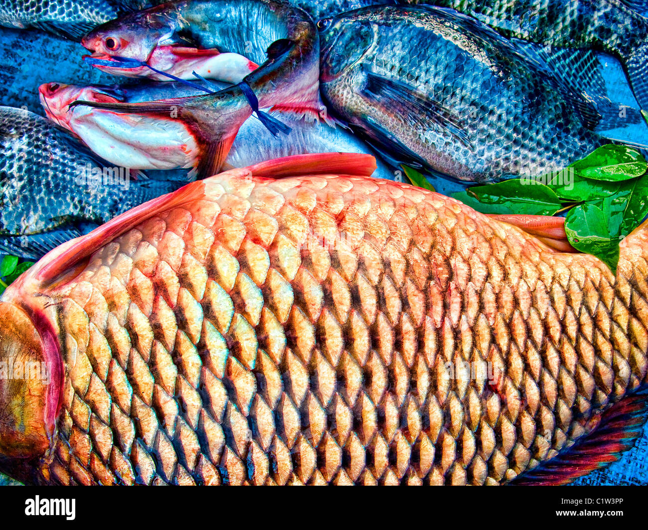 Thailand, Fish at market Stock Photo - Alamy