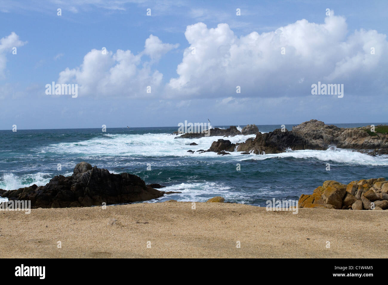 Pacific Coast at Pacific Grove Monterey Peninsula California USA Stock ...