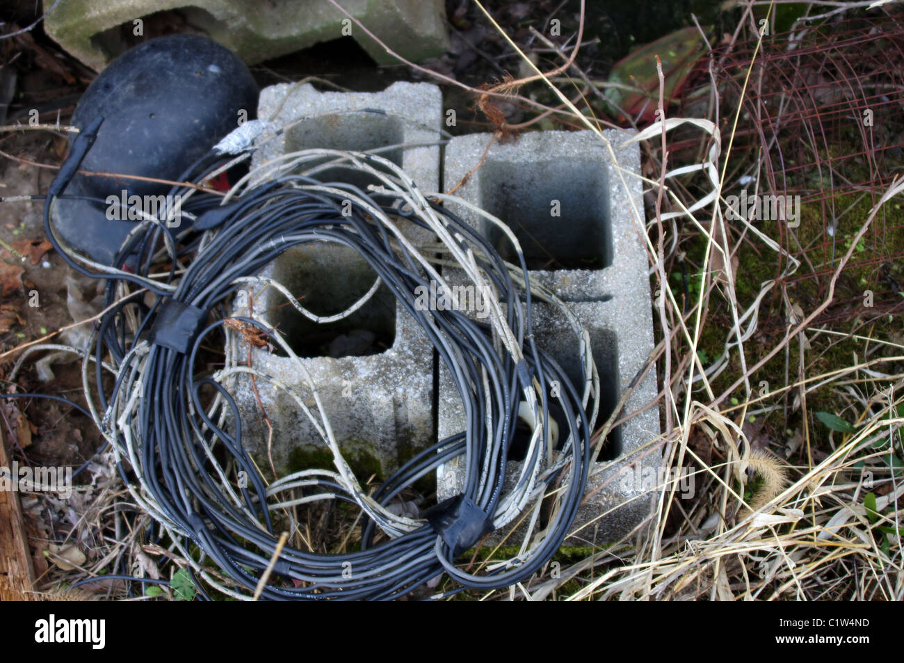 A photo of old electrical wire, fencing, cinder building blocks grass ...