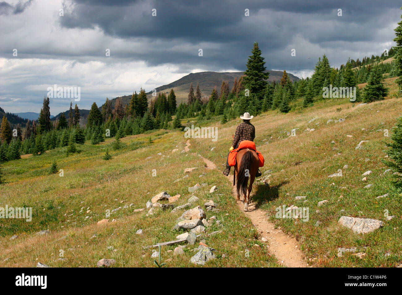 USA, Washington, Wilderness, cowboy riding horse Stock Photo - Alamy