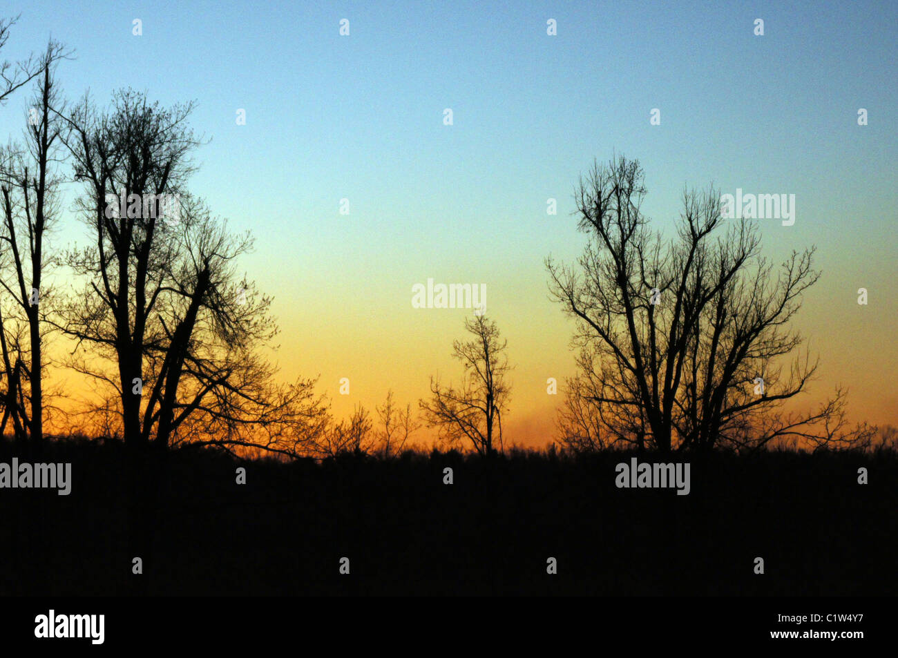 a late afternoon sunset in Arkansas showing black silhouetted trees ...