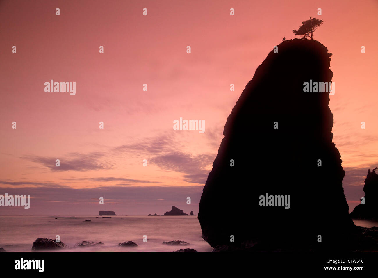 Silhouette of a cliff on the coast, Rialto Beach, Olympic National Park ...