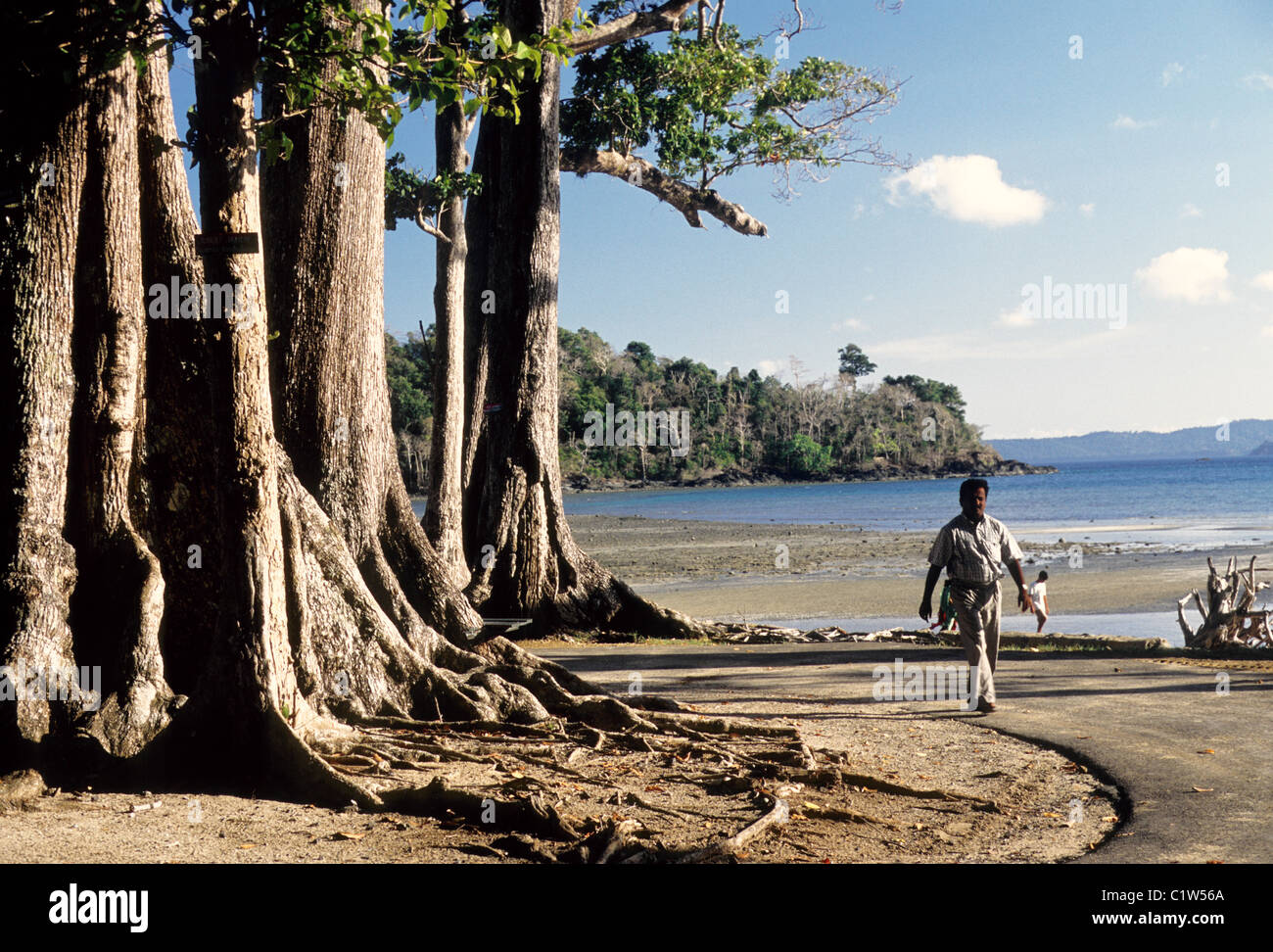 Man walking on the beach, Chidiya Tapu, Andaman Islands, Andaman and ...