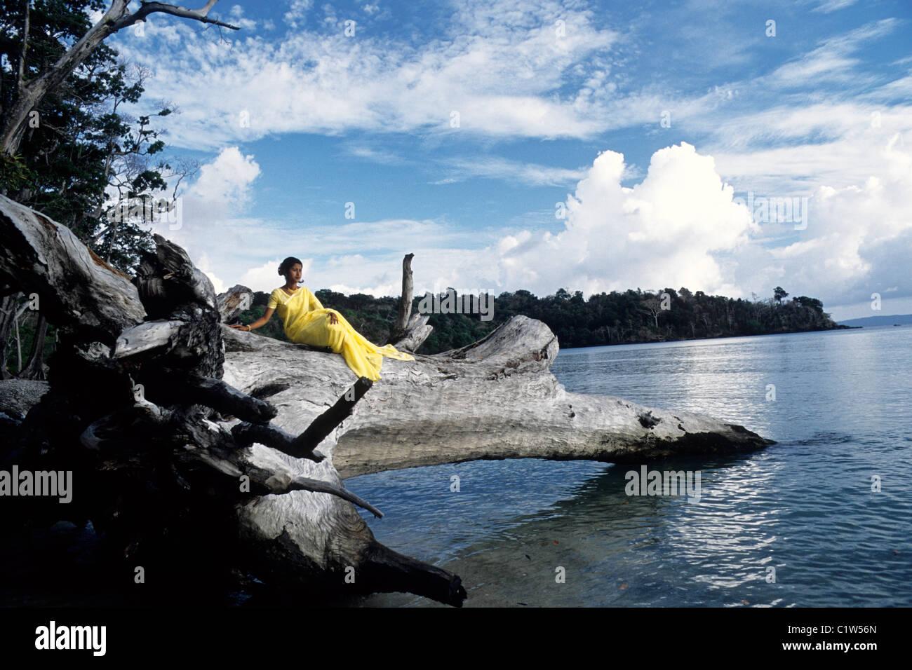 Woman sitting on an uprooted tree on the coast, Chidiya Tapu, Andaman ...