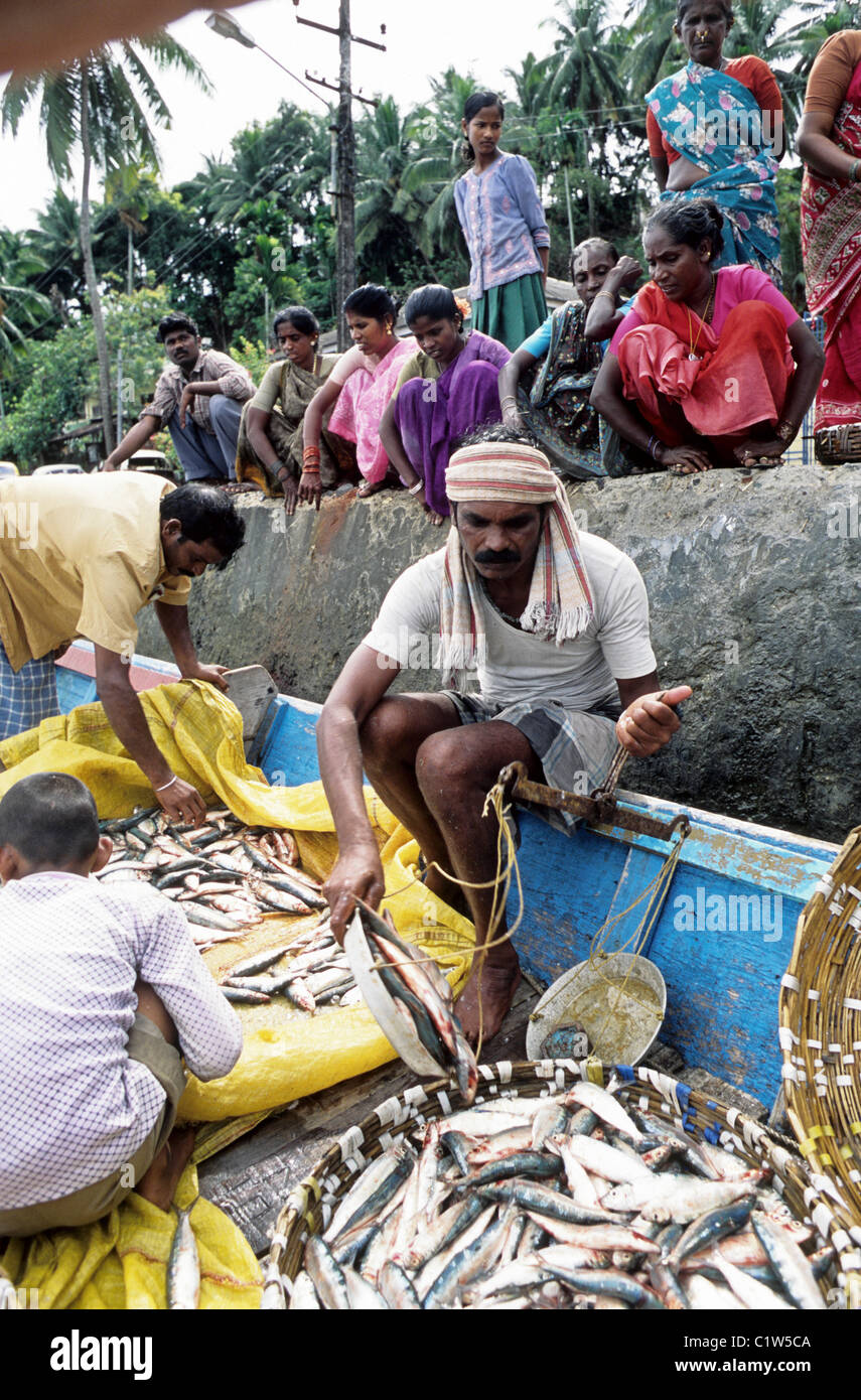 Fisherman selling fish, Junglighat, Port Blair, Andaman and Nicobar ...