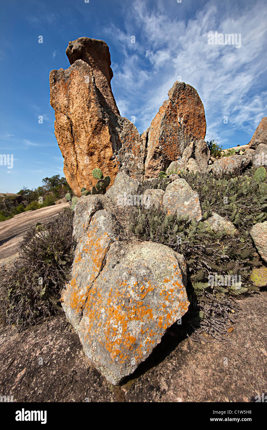 Rocks with lichen Enchanted Rock State Natural Area Texas USA Stock ...