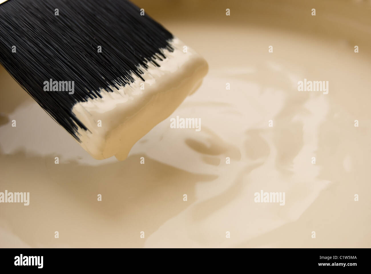 Paintbrush dipped in paint Stock Photo - Alamy