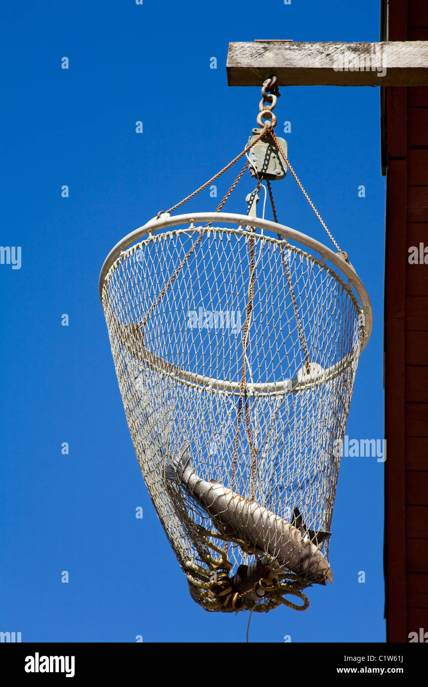 Fish hanging in a net, Cannery Museum, Icy Strait Point, Hoonah City ...