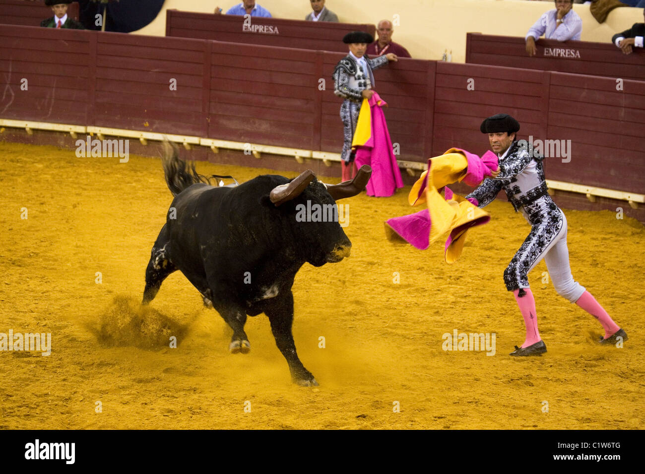 Portuguese style bullfighting hi-res stock photography and images - Alamy