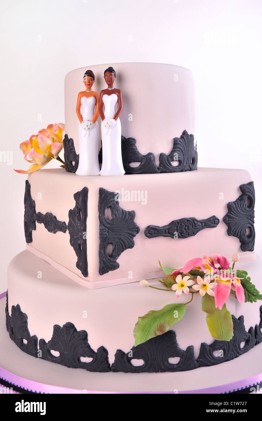 Two brides on pink decorated tiered wedding cake same sex interracial lesbian couple gay ...