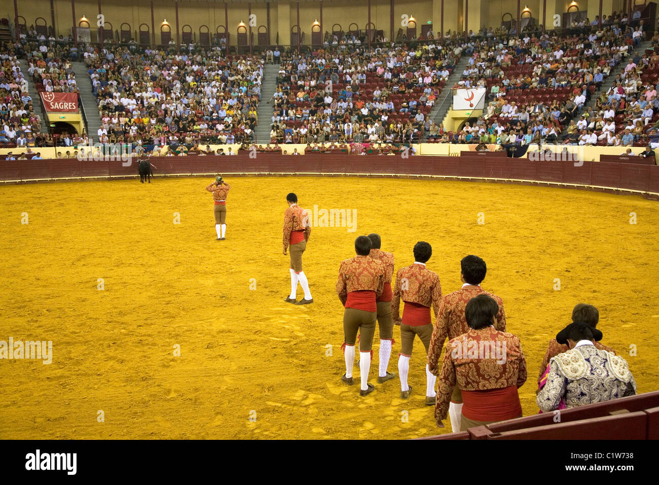 Portuguese style bullfighting hi-res stock photography and images - Alamy