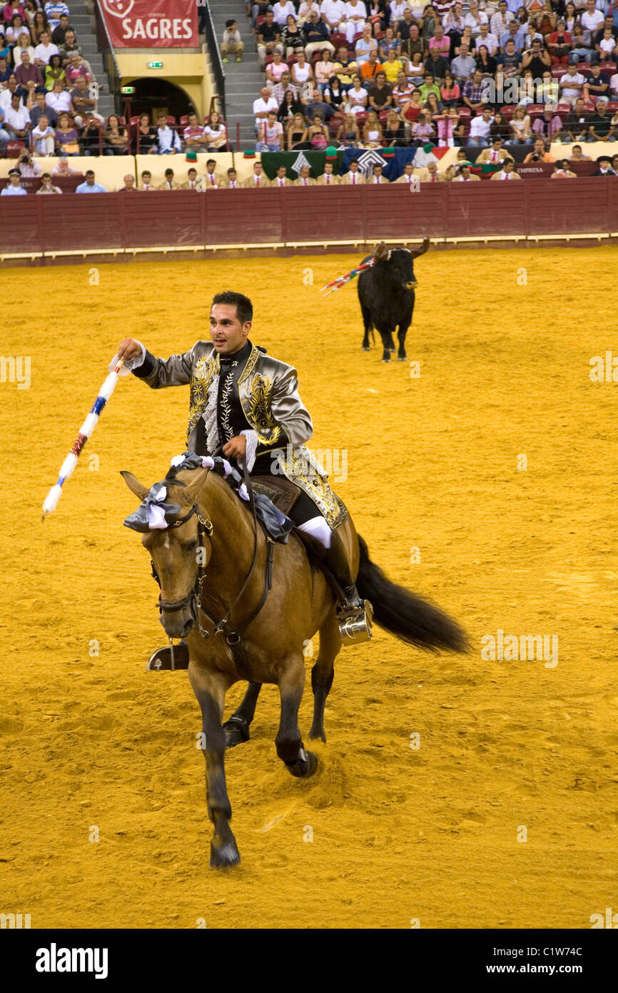 A skilled horseman (Cavaleiro) in action during a Portuguese style ...