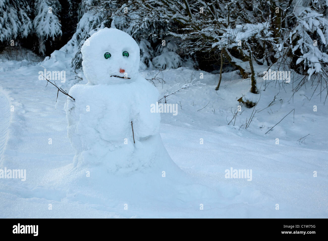 Welsh snowman hi-res stock photography and images - Alamy